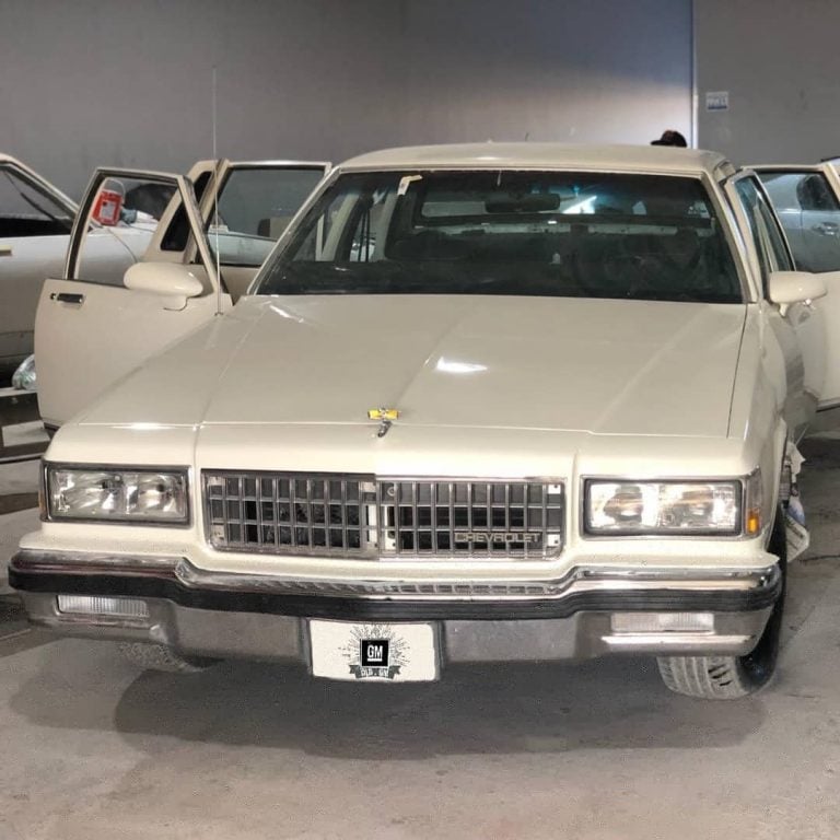 86-90 Caprice Reproduction Bumper Impact Strip Set - Old GM